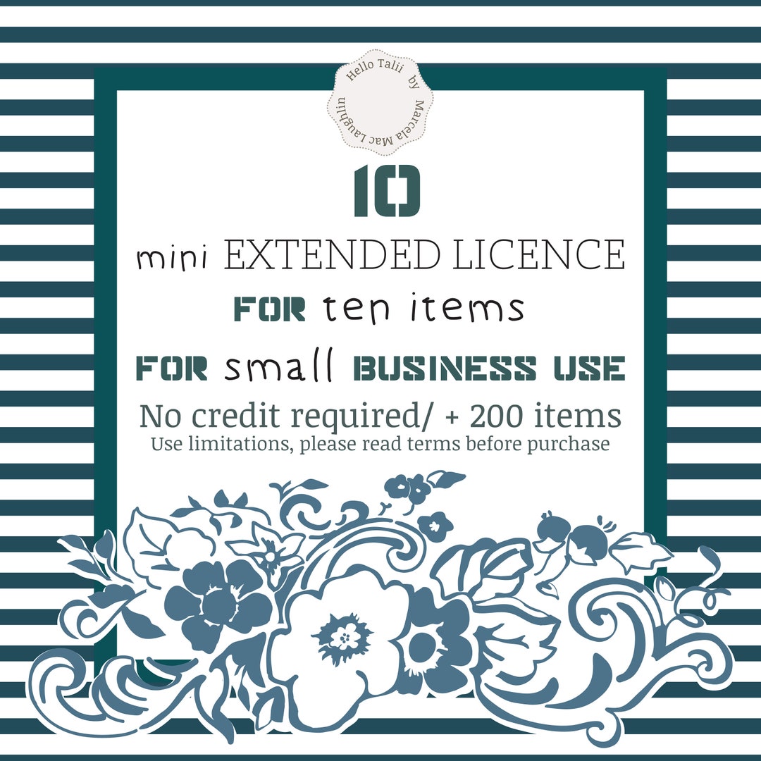 10 MINI EXTENDED Licenses for SMALL Business Use- No Credit Required ...