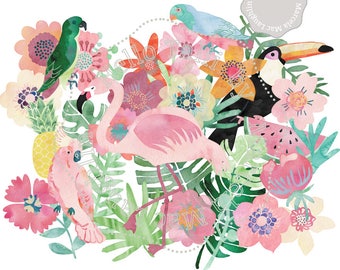 Tropical Clipart, Tropical Birds Clip Art, Tropical Summer, Flamingo ...