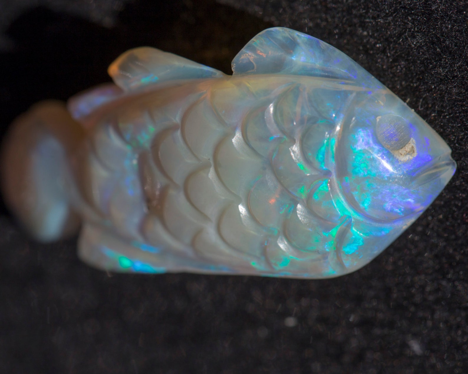 SALE*** Australian Fish Opal Carving Semi-blackopal Multicolored Double ...
