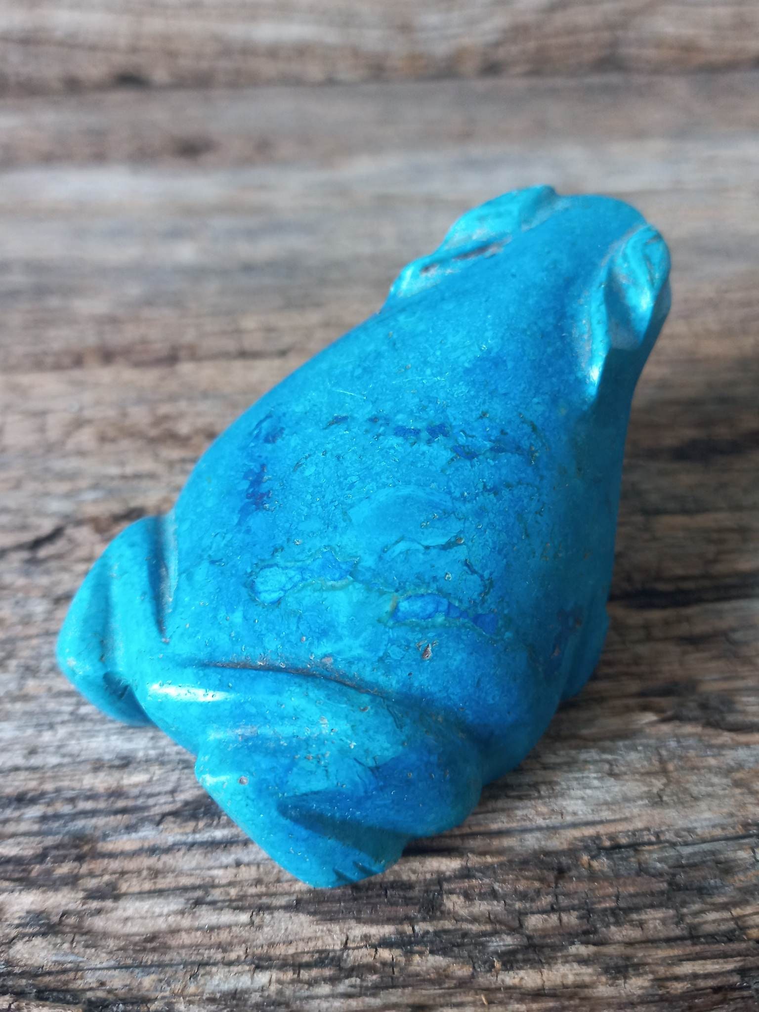 Vintage Turquoise Frog Amulet Symbol of Rebirth Creation Amphibian ...