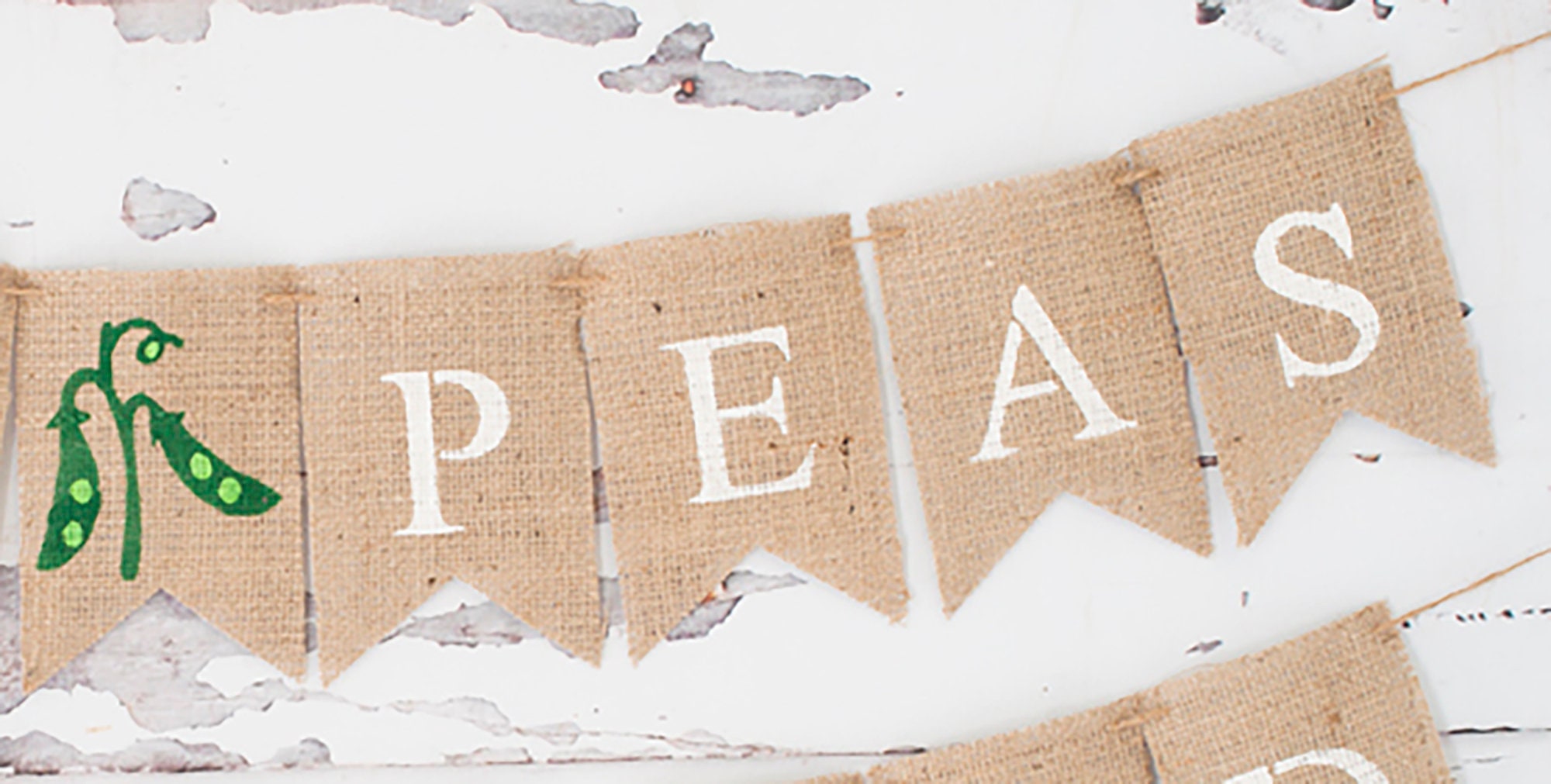 Twins Banner Two Peas in A Pod Banner Twins Baby Shower - Etsy Canada