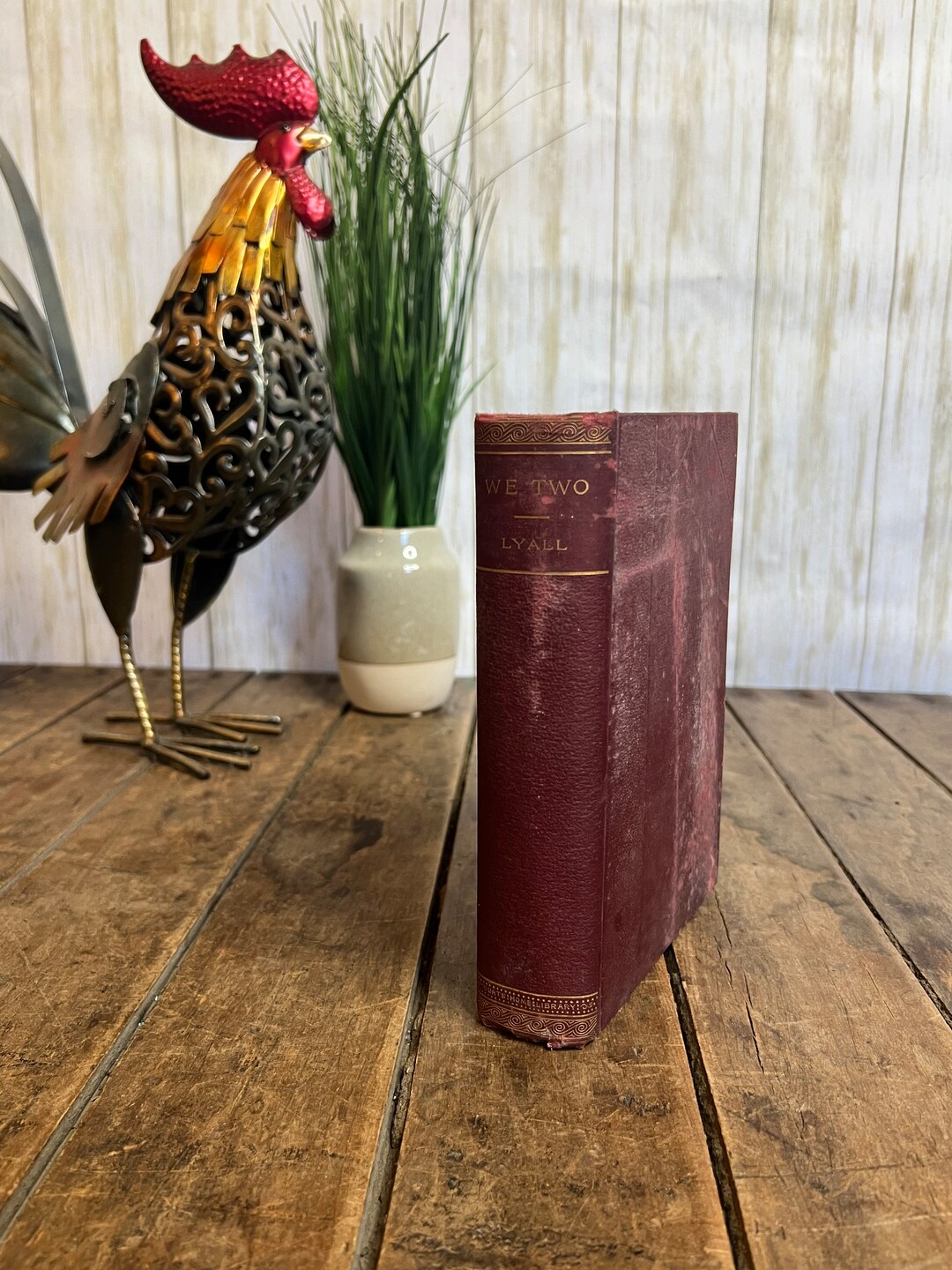 1894 We Two a Novel by Edna Lyall Published by A.L. Burt NY Hardcover ...