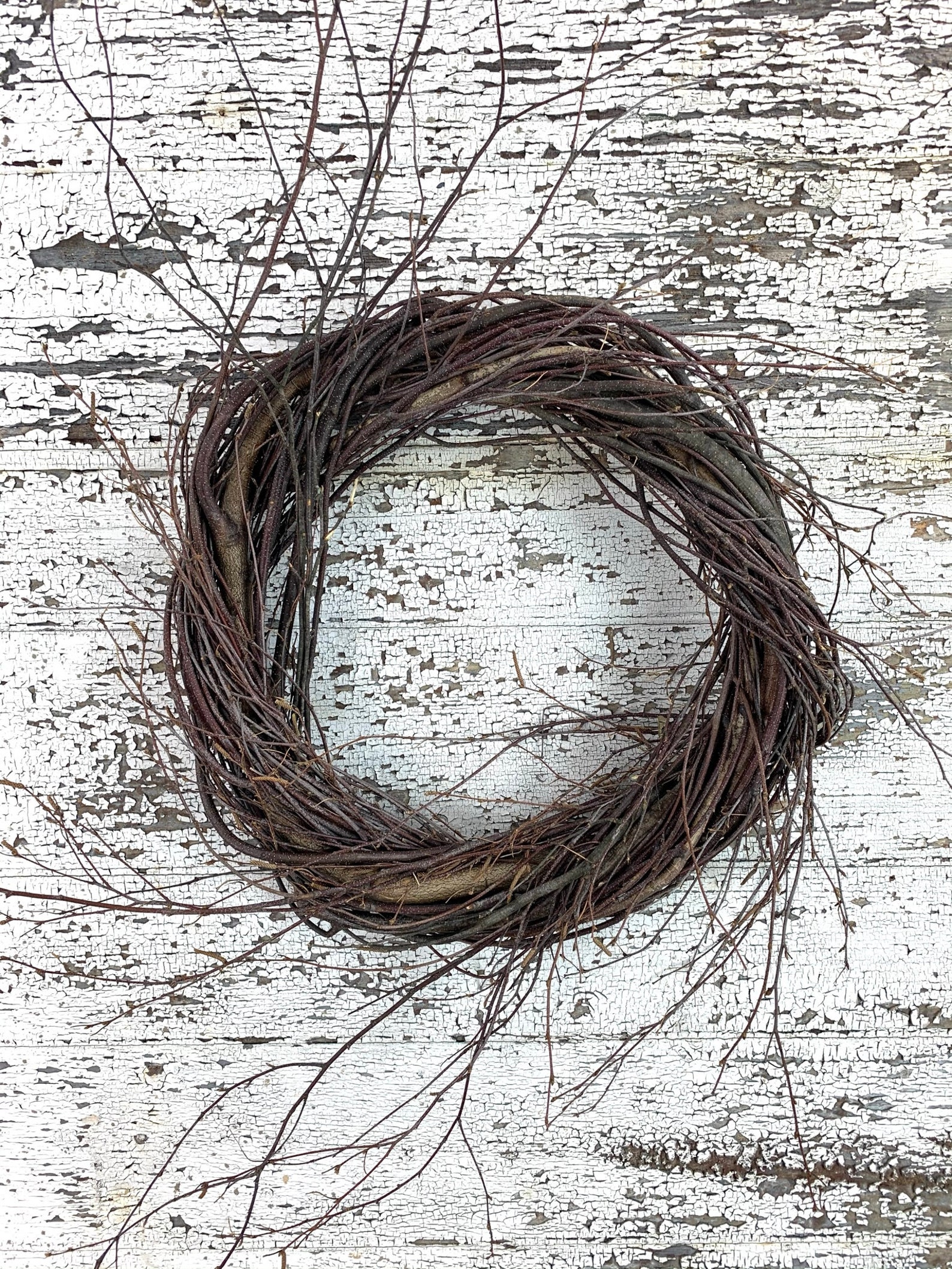 Birch Wreath Bases, Natural Birch Wreath, Natural, Pennsylvania Birch ...
