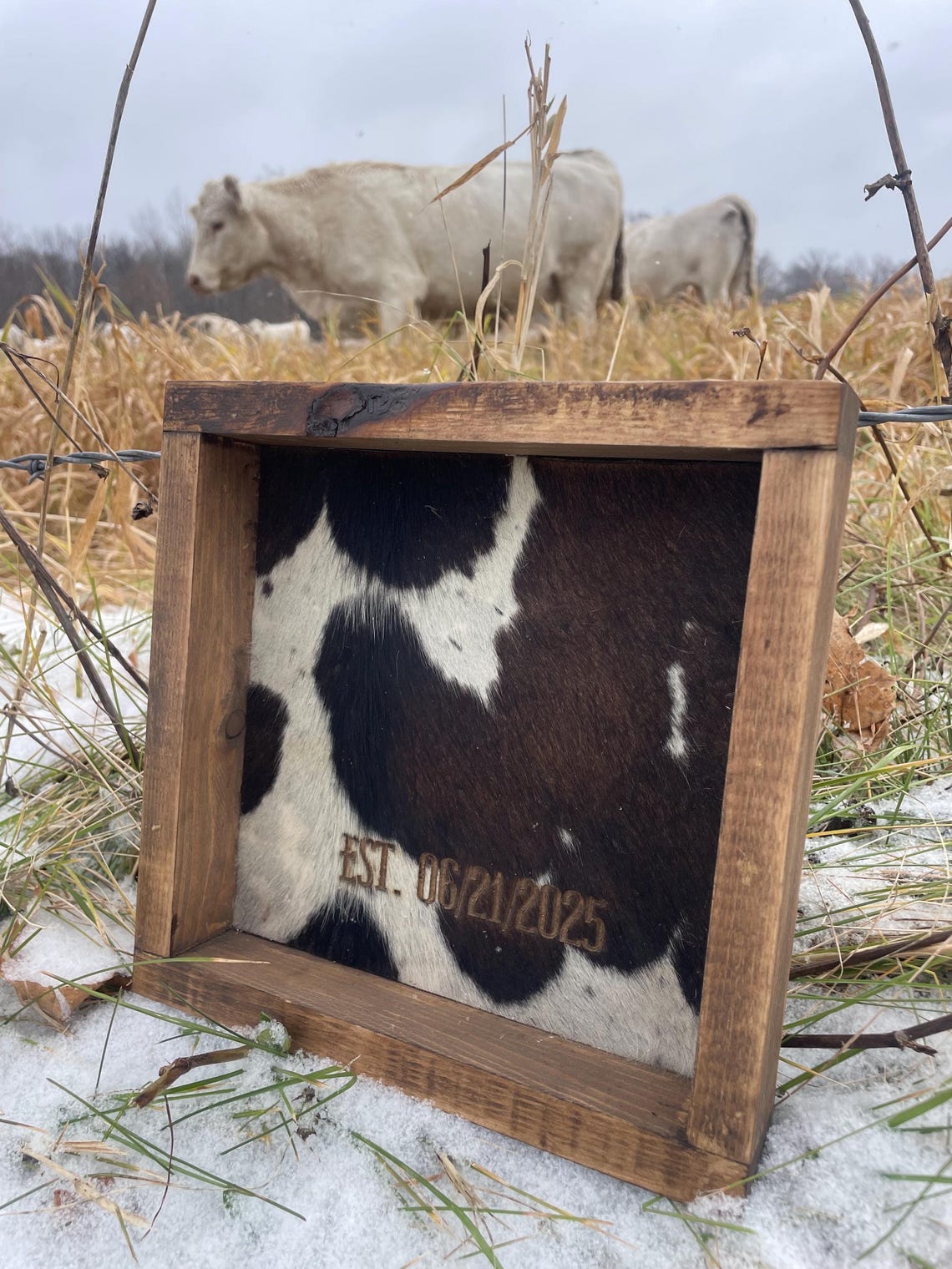 Branding Frame Cowhide Brand Plaque, Wedding Ceremony, Branding ...