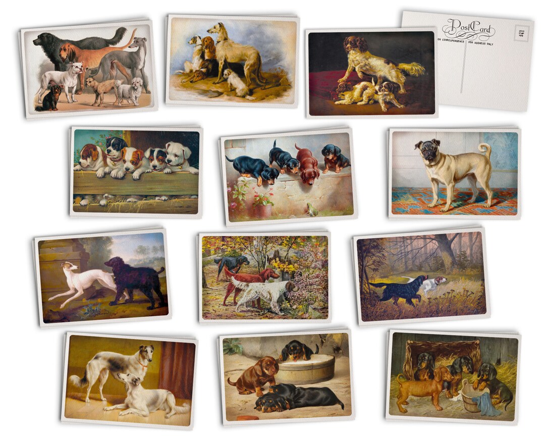 Vintage Style Dog Postcards - 24 Retro Style Postcards With Dogs ...