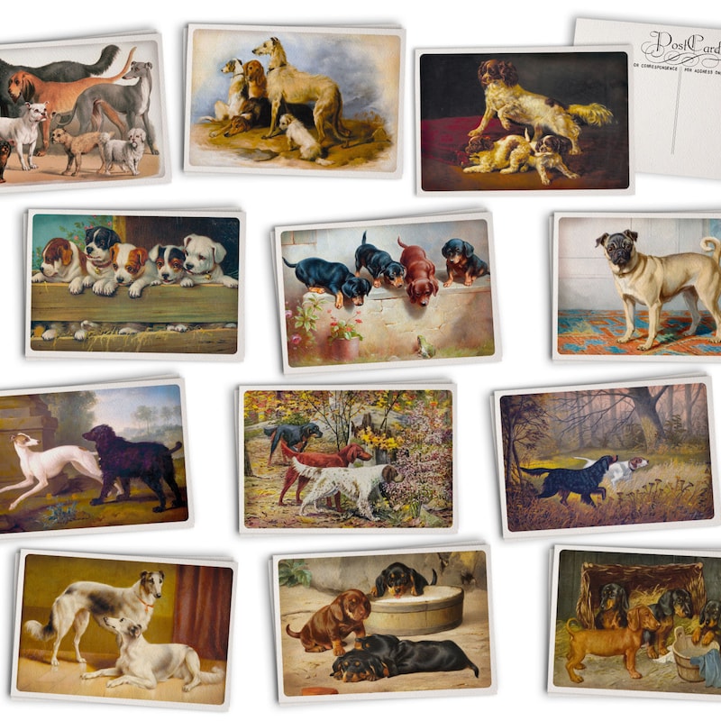 Photo Postcard Dog - Etsy