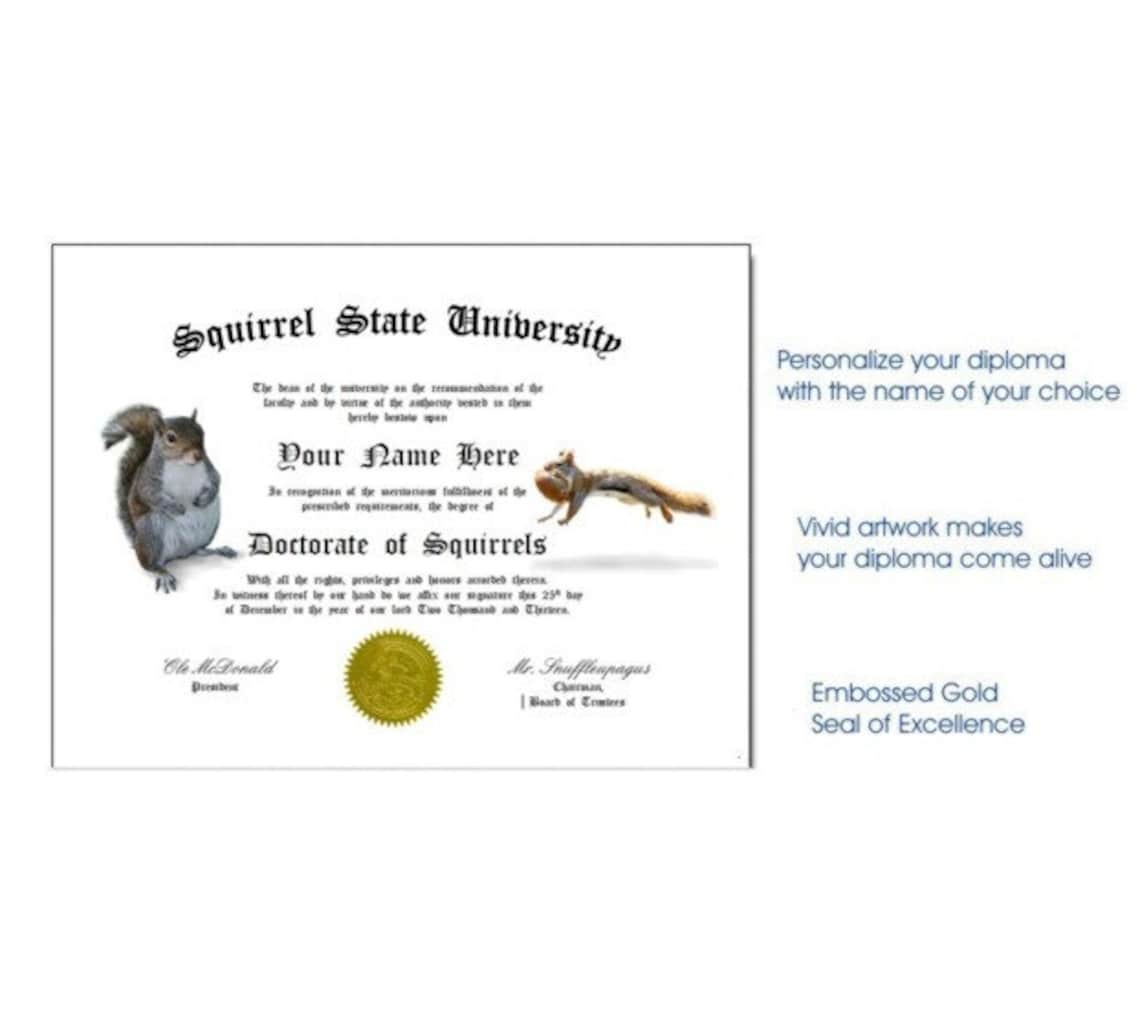 Personalized SQUIRREL Diploma We Print Any Name Squirrel - Etsy