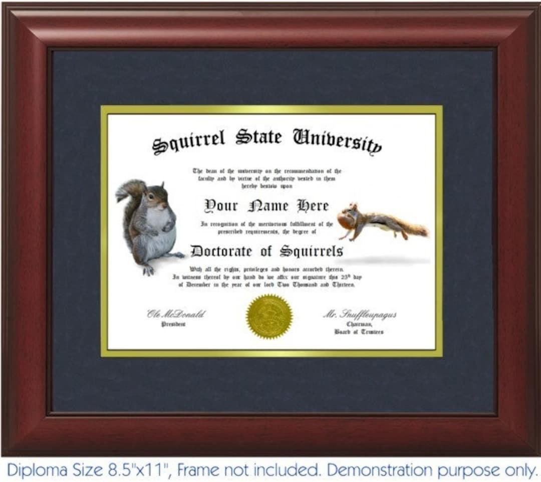 Personalized SQUIRREL Diploma - We Print Any Name Squirrel Gift ...