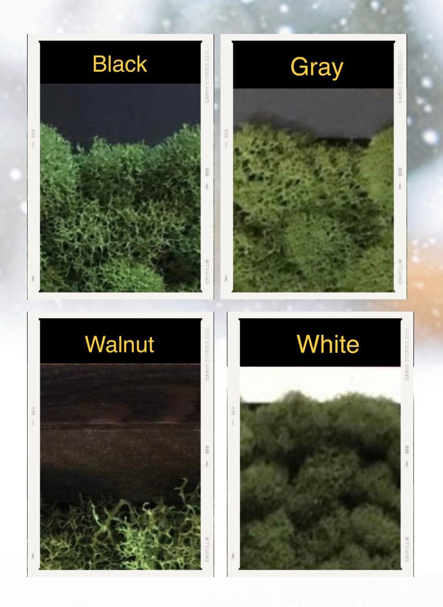 Cat Wall Art Moss Wall Art Cat Sign Love of Cats Bedroom | Etsy