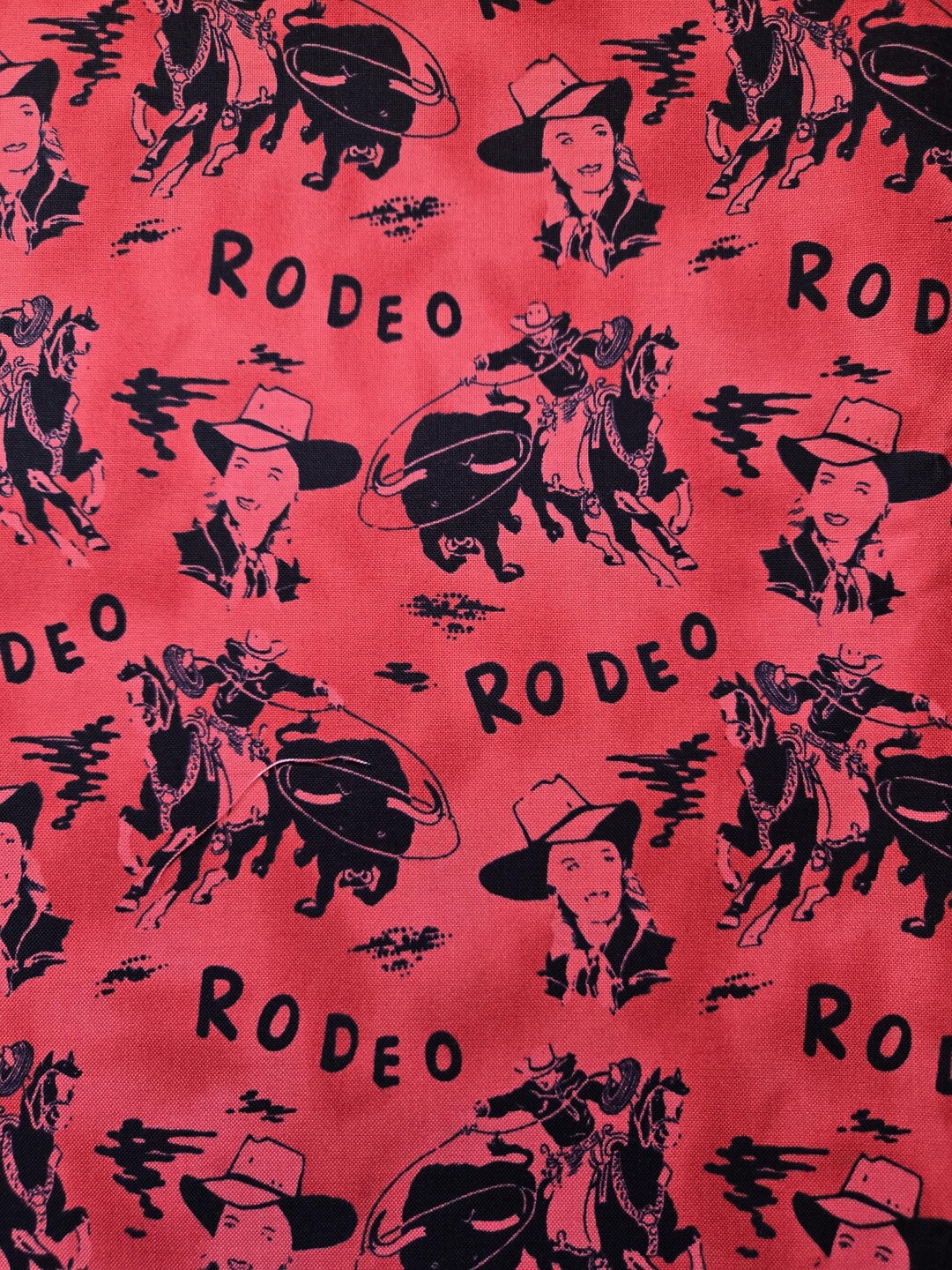Rodeo Fabric - Quilting - Western Fabric - Etsy