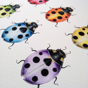 Colorful Ladybug Art Print, Rainbow Ladybug Illustration, Ladybugs ...