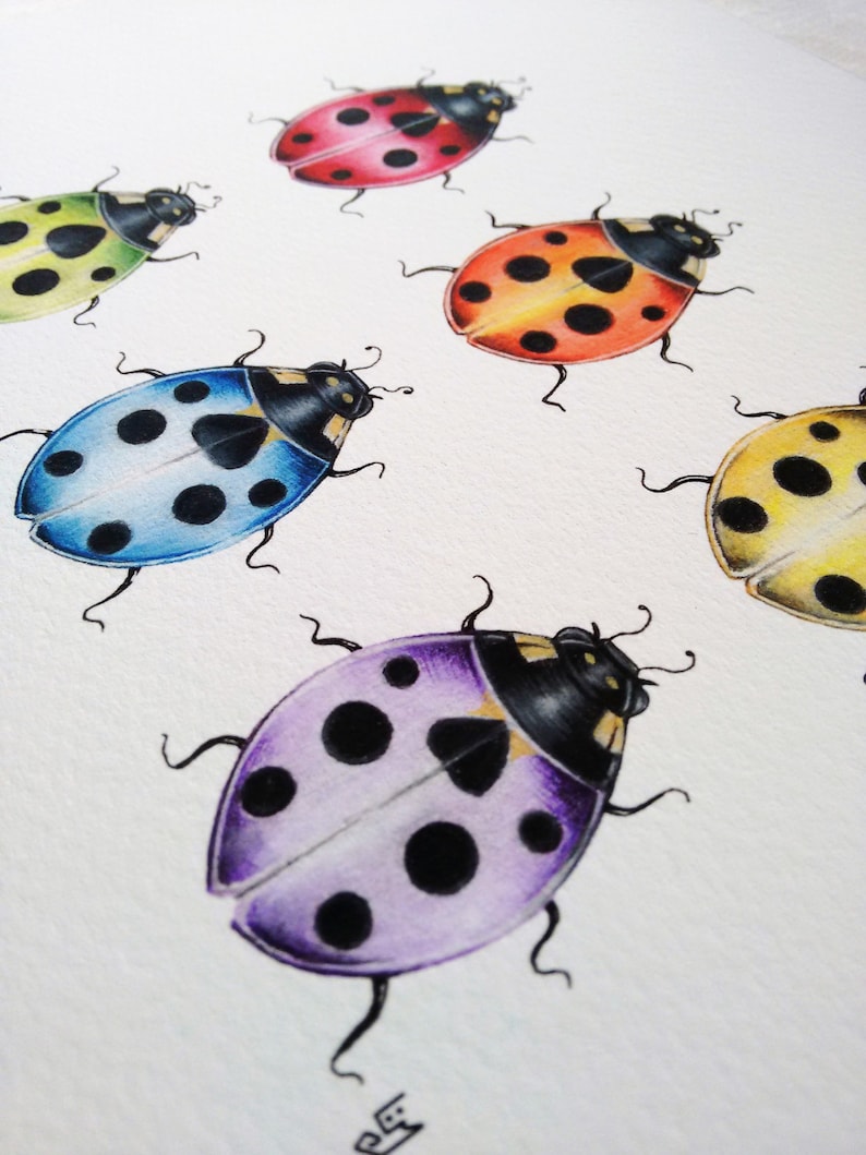 Colorful Ladybug Art Print Rainbow Ladybug Illustration - Etsy
