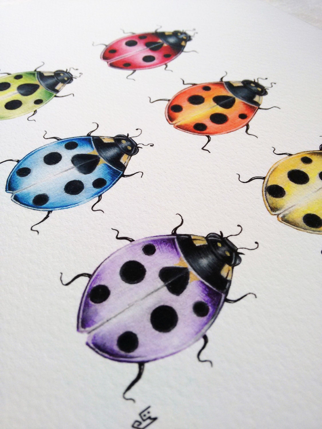 Colorful Ladybug Art Print, Rainbow Ladybug Illustration, Ladybugs ...