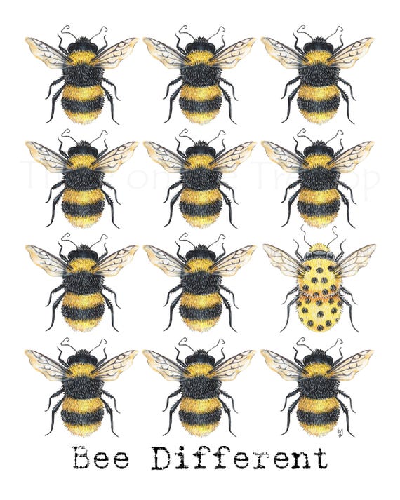 How To Draw A Bumble Bee