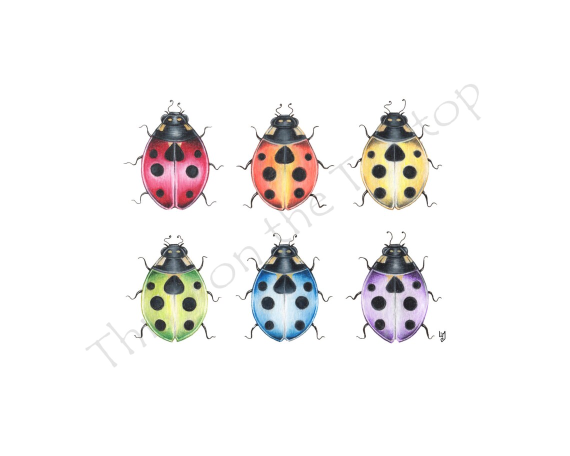 Colorful Ladybug Art Print Rainbow Ladybug Illustration - Etsy