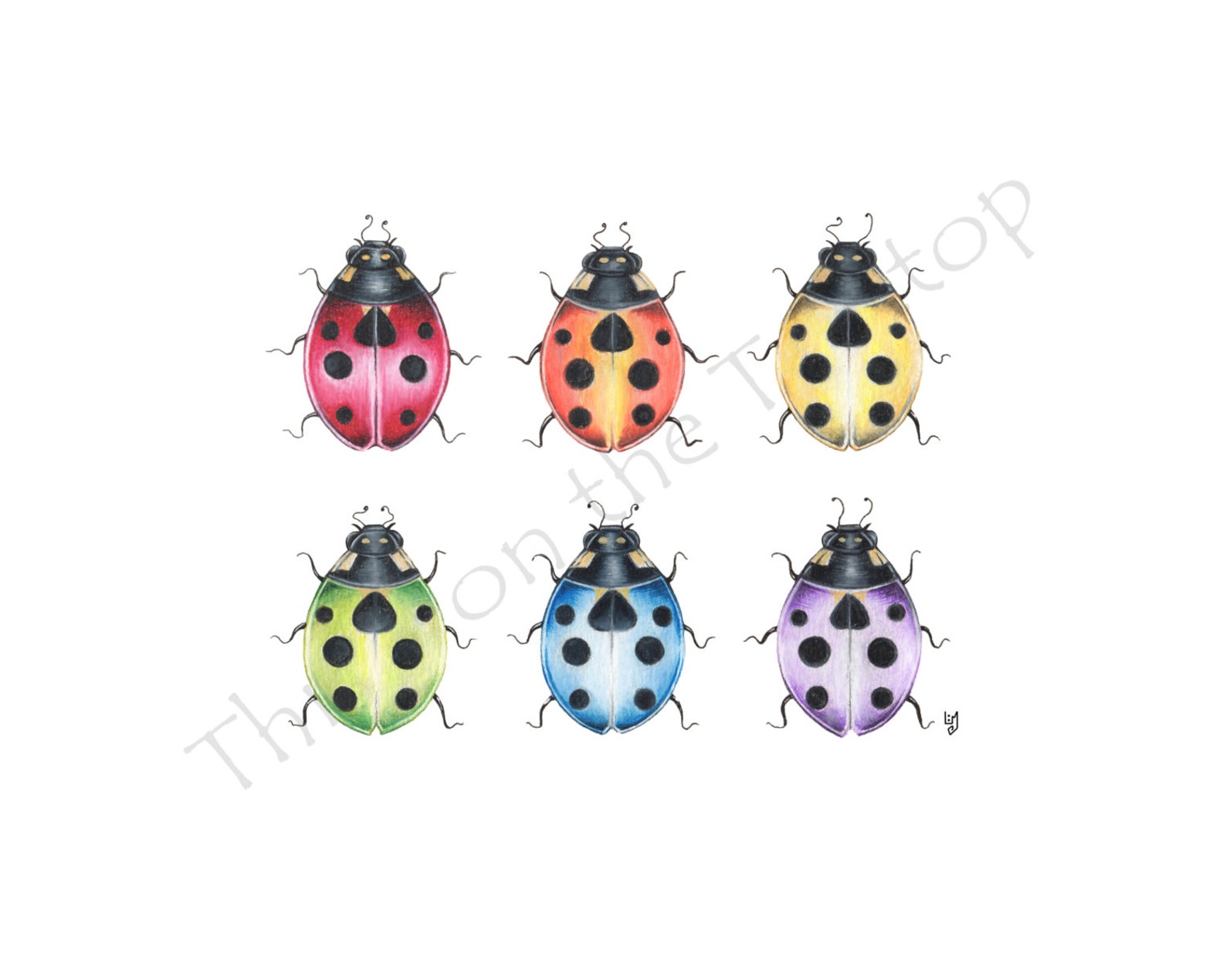 Colorful Ladybug Art Print Rainbow Ladybug Illustration | Etsy