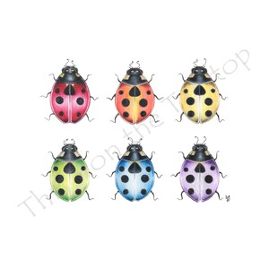 Colorful Ladybug Art Print, Rainbow Ladybug Illustration, Ladybugs ...