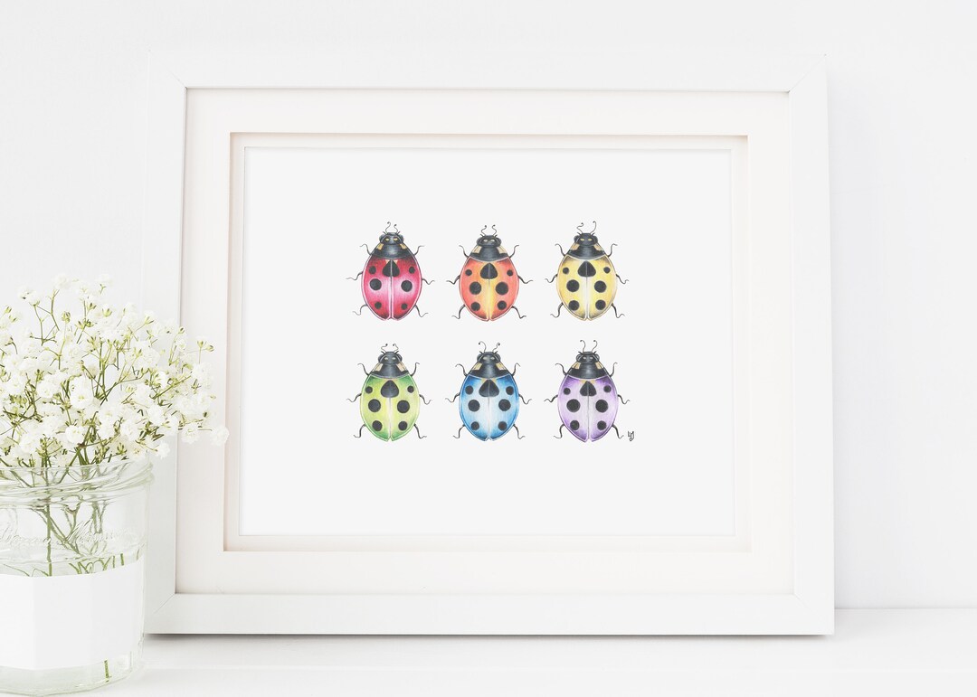 Colorful Ladybug Art Print, Rainbow Ladybug Illustration, Ladybugs ...