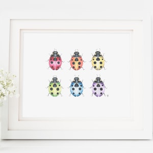 Colorful Ladybug Art Print, Rainbow Ladybug Illustration, Ladybugs ...