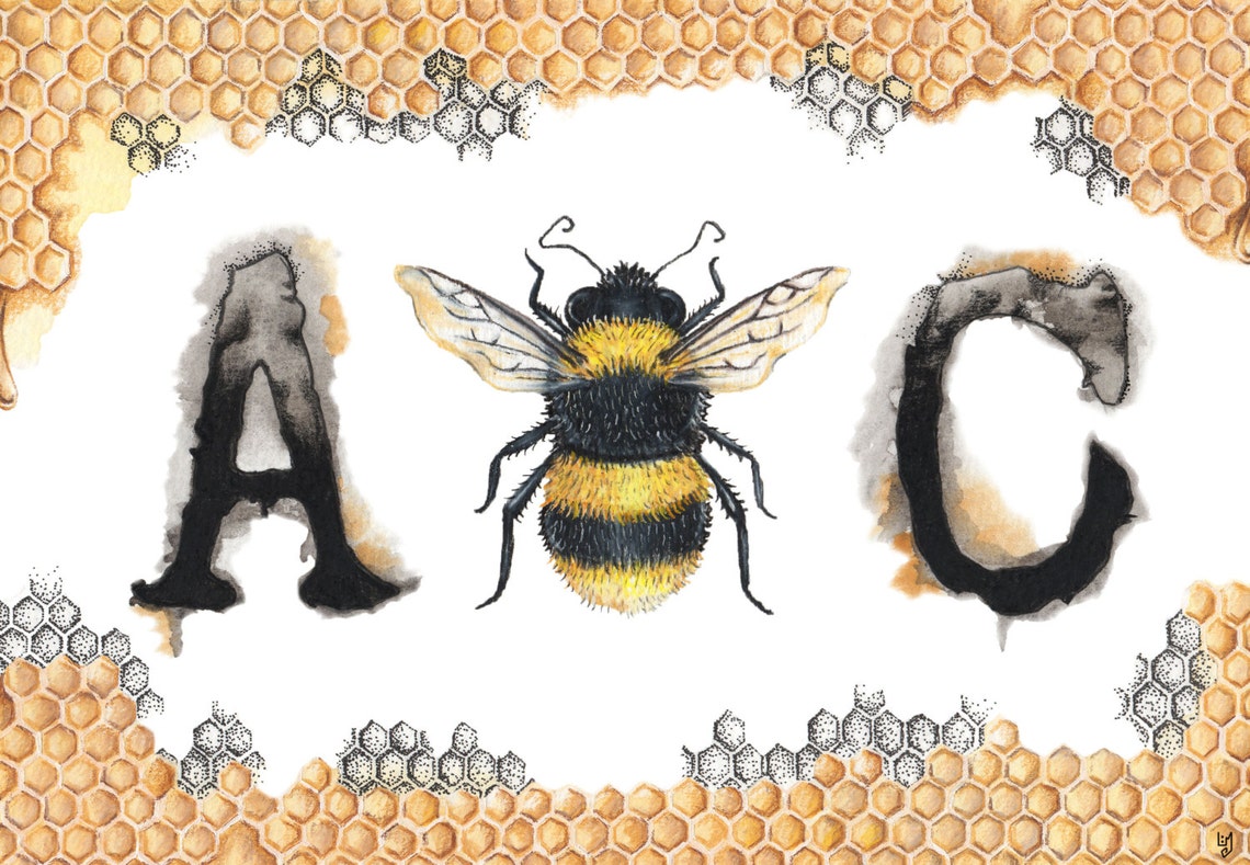 Bumblebee Illustration, Alphabet Illustration, Bee Art Print, Bumblebee ...