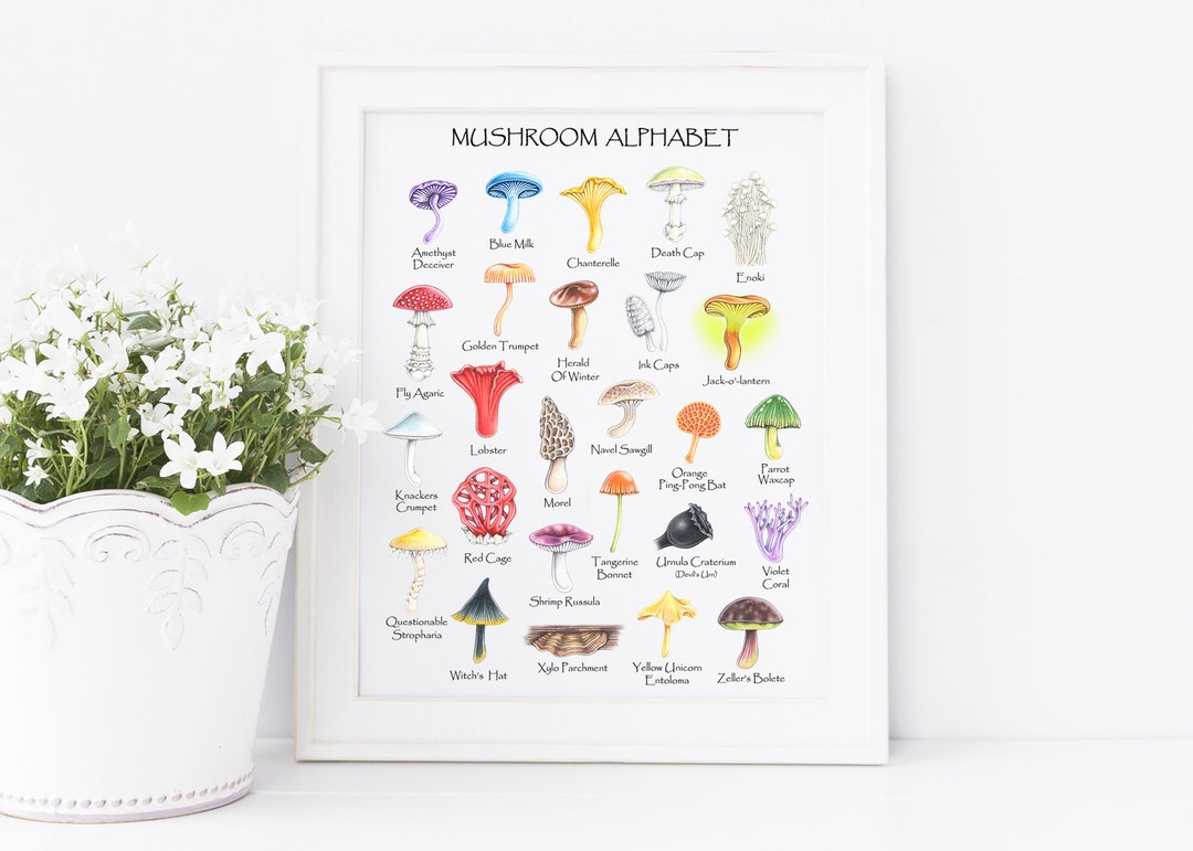 Mushroom Alphabet, Alphabet Print, Mushroom Art, Whimsical Print ...