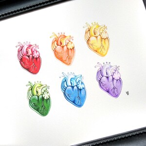 Heart Print, Anatomical Heart Illustration, Anatomical Heart Art, Human ...