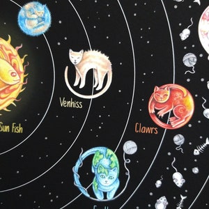 Map of the Solar Hisstem, Solar System Map, Funny Solar System, Pun Art ...