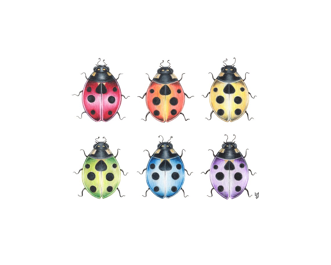 Rainbow Ladybug Greeting Card Ladybug Greeting Card Ladybug | Etsy
