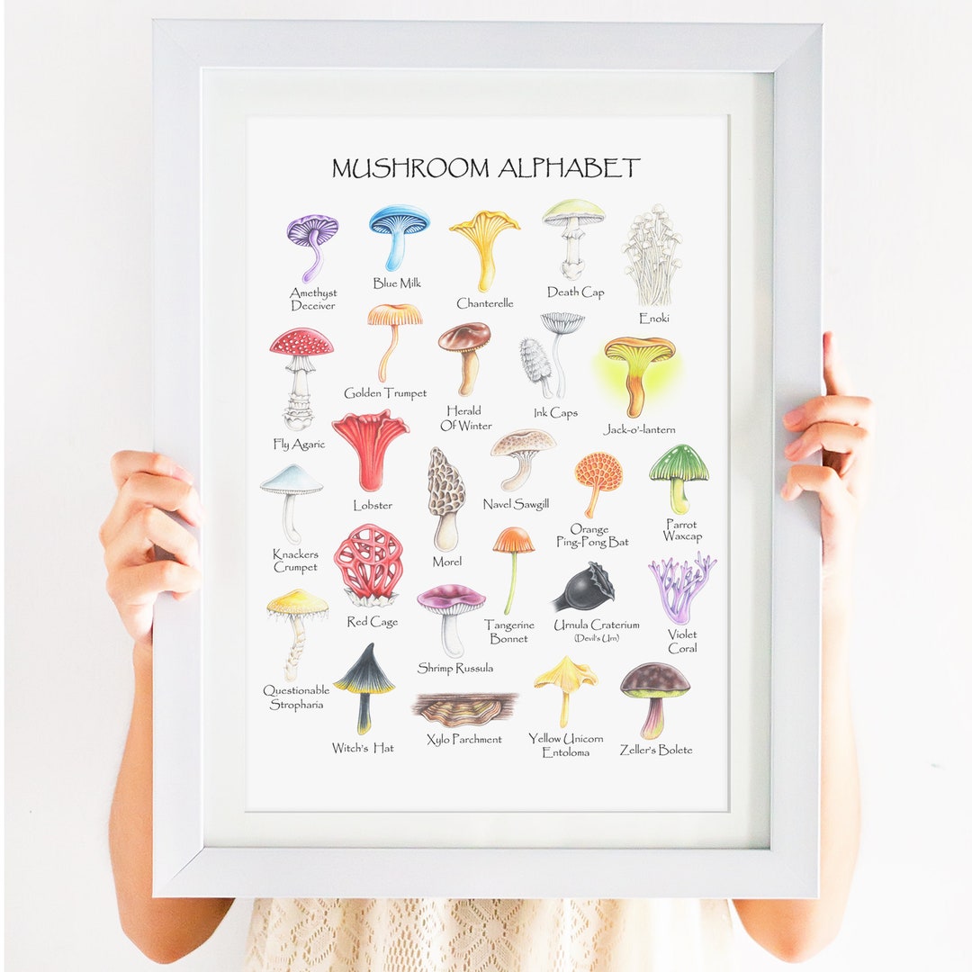 Mushroom Alphabet 11x14", Alphabet Art, Large Alphabet Print, Mushrooms ...