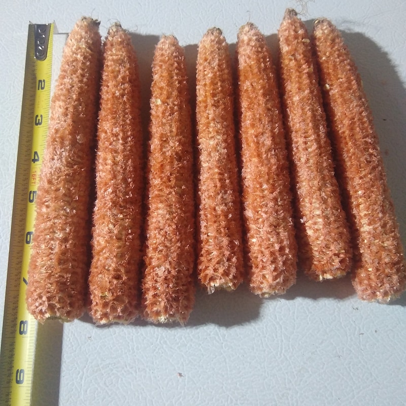 The Corn Cob Red - Etsy