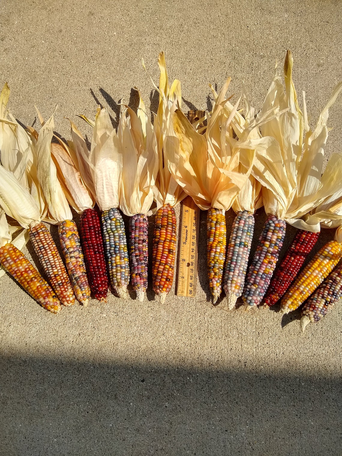 Glass Gem Corn 3 to 4 Length 4 to 5 | Etsy