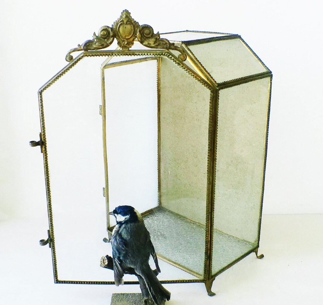 1800s Antique Display Case Glass Brass Wedding Souvenir Cabinet French ...
