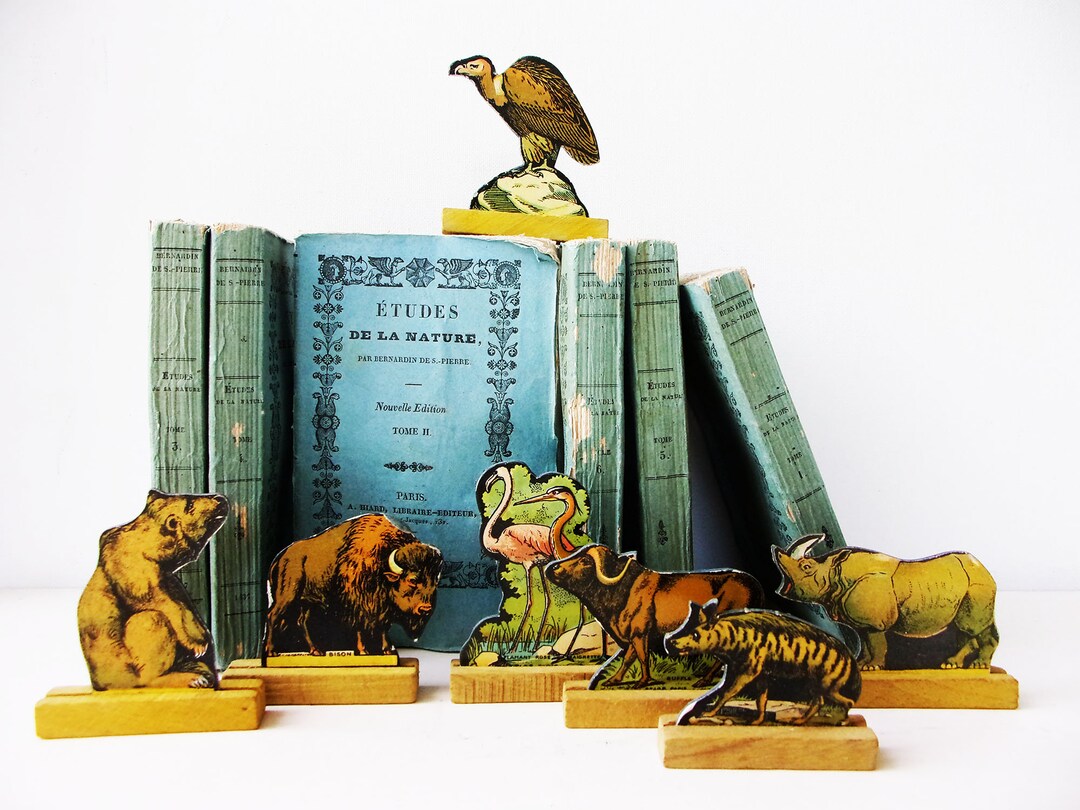 7 Antique Animal Cardboard Figurines Pictures Mounted on Wooden Base ...