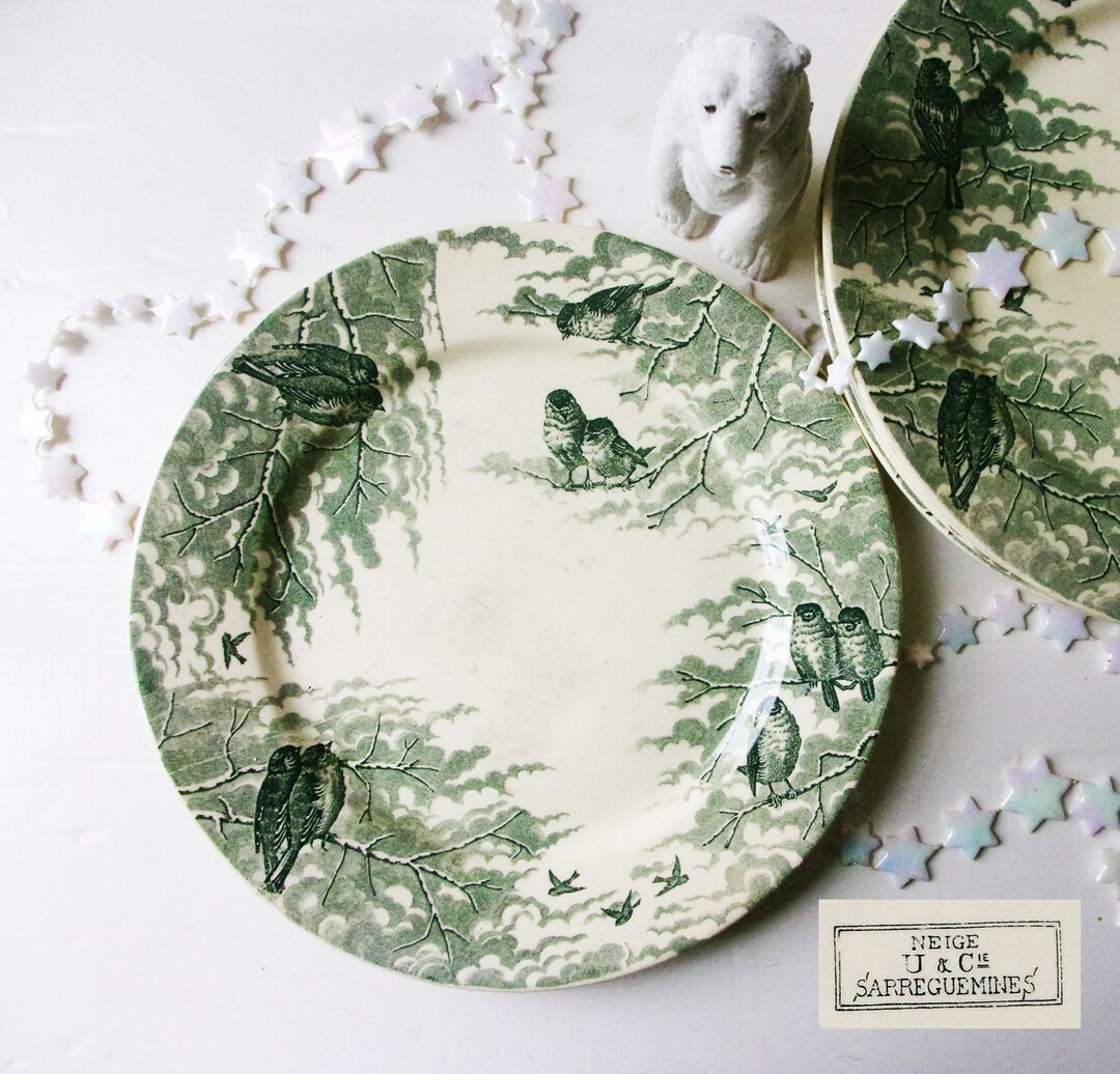 Winter Snow Bird Plate Antique French White and Grey-green - Etsy