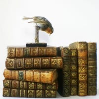 Antique Books - Etsy