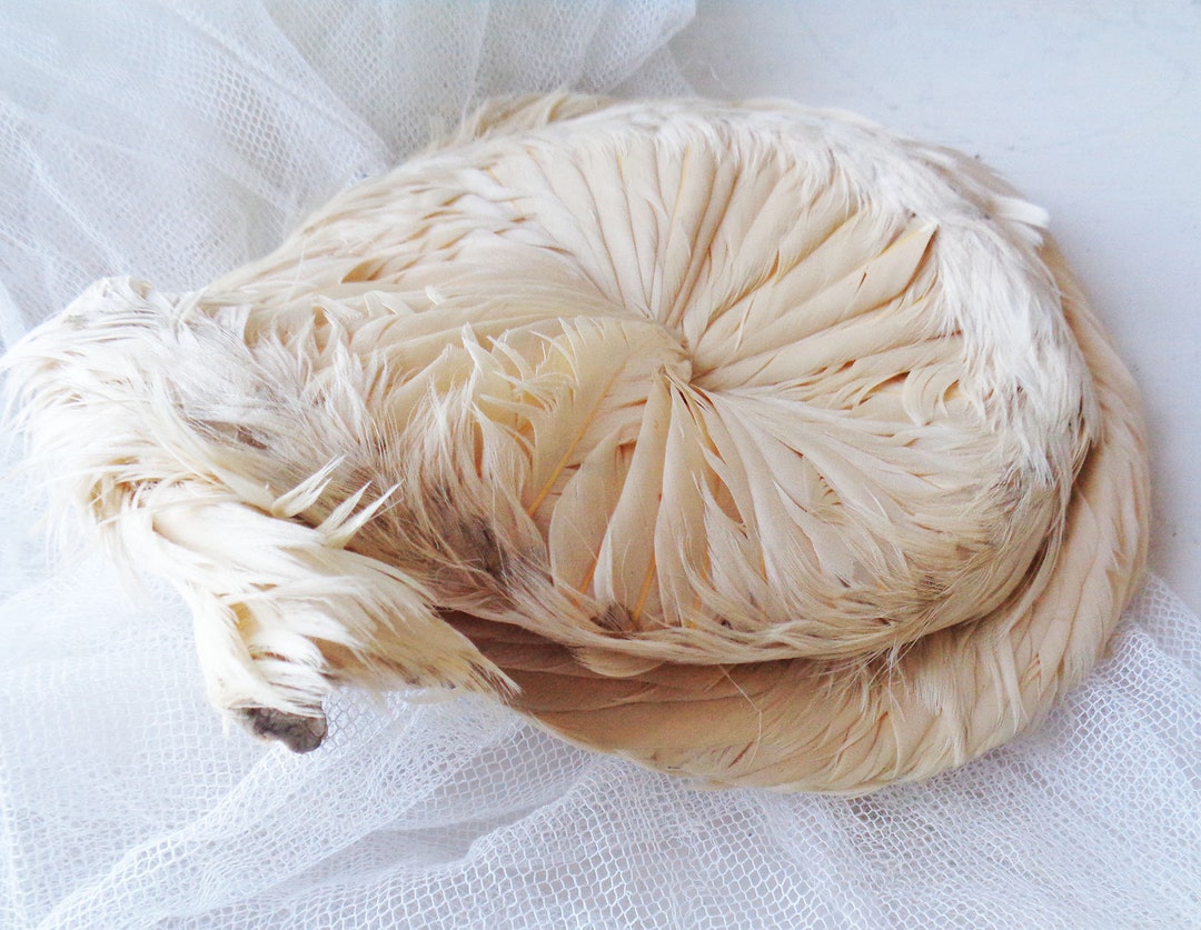 French Bird Feather Hat White Feathers Fascinator Antique - Etsy