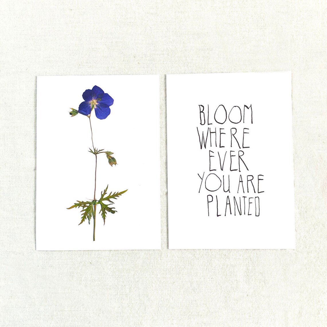 Postcards M I X & M A T C H Choose Your Quantity and - Etsy