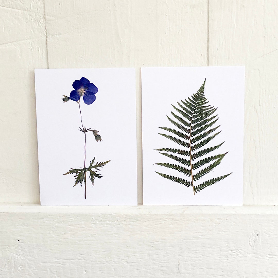 SET * 2 POSTCARDS * A6, With an Image of a Geranium and Fern Leaf - Etsy