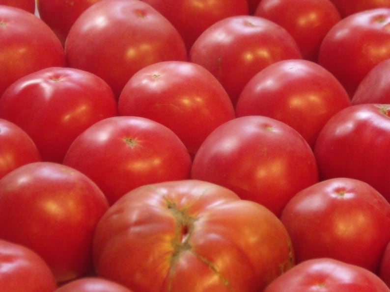 German Johnson Tomato Seeds Heirloom 75 Seeds - Etsy