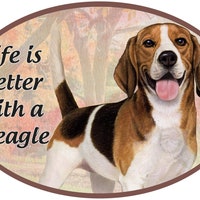 Beagle Gift - Etsy