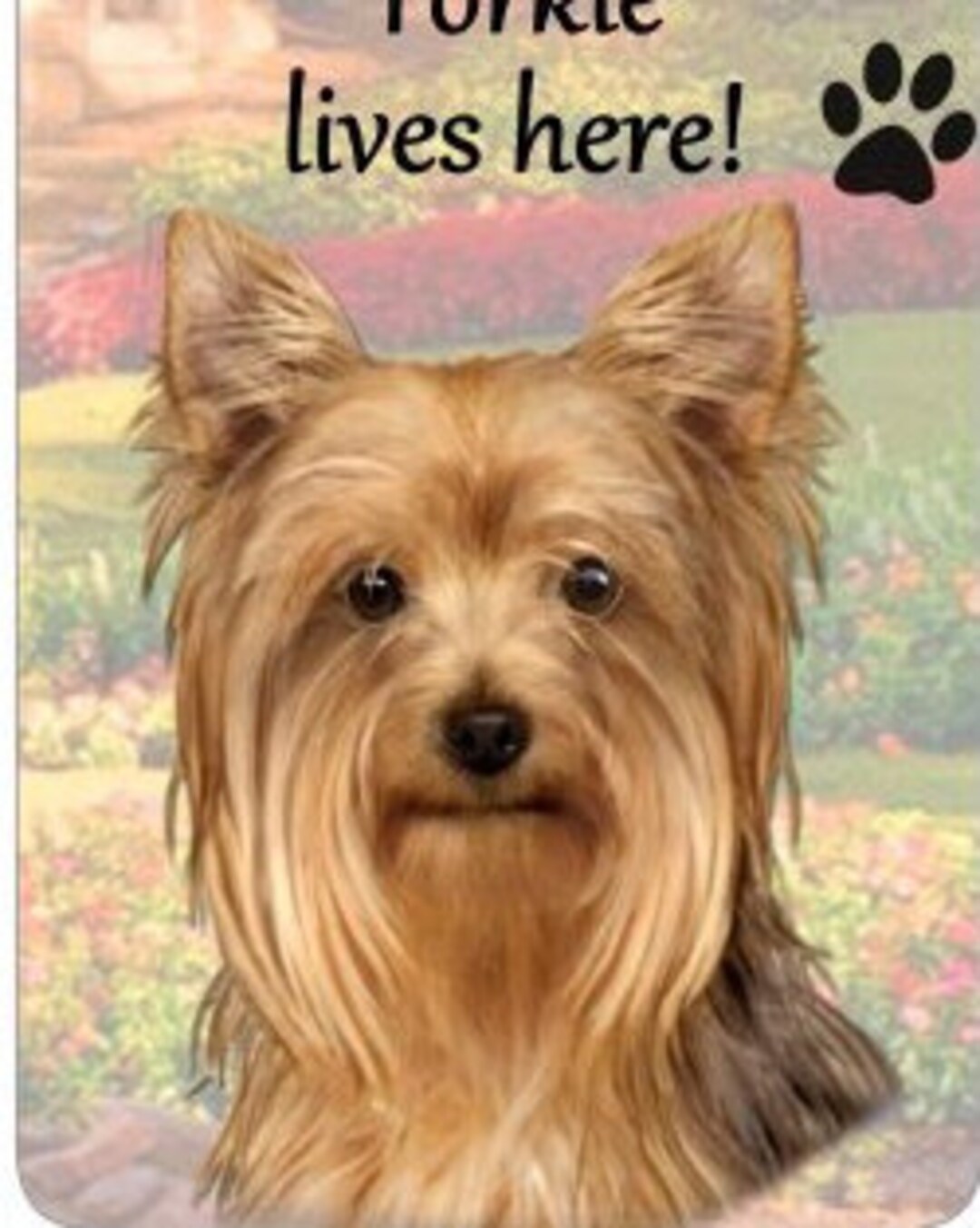 Yorkie Wood Sign a Spoiled Rotten Dog Lives - Etsy