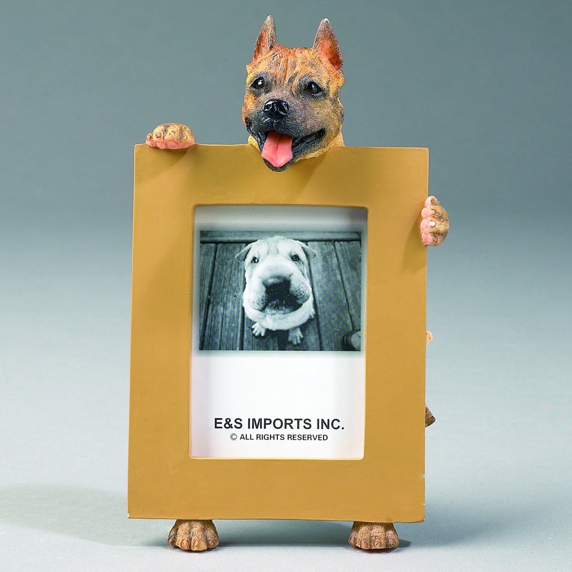 Pit Bull Picture Frame Makes a Perfect Gift for Pit Bull - Etsy