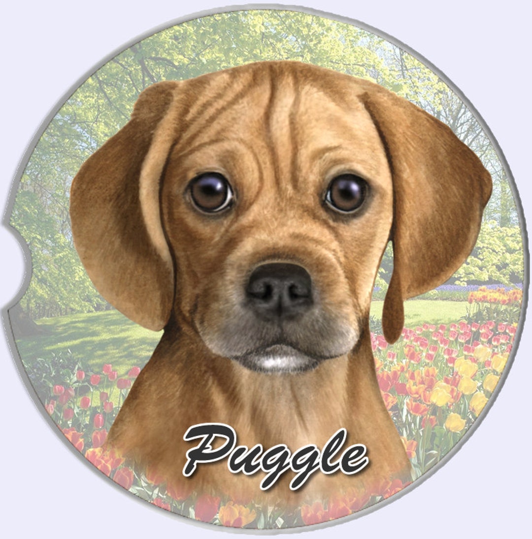 Puggle Car Coaster. Made From Super Adsorbent Sandstone - Etsy