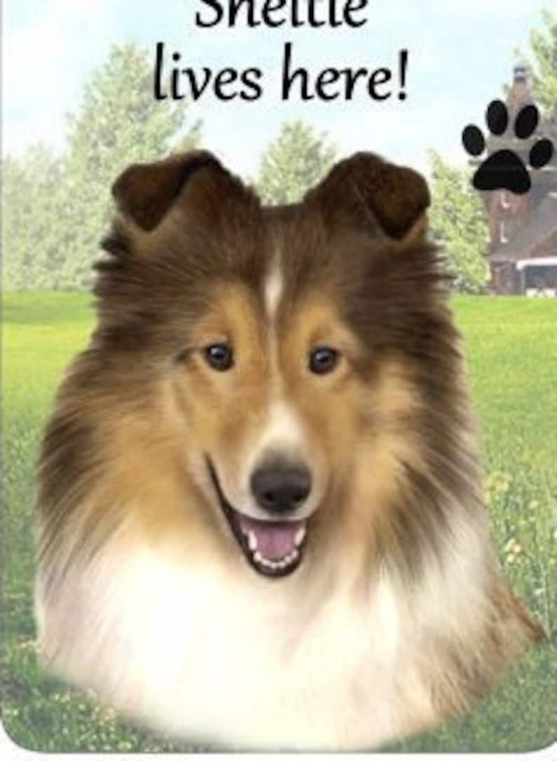 Sheltie Wood Sign a Spoiled Rotten Dog Lives - Etsy