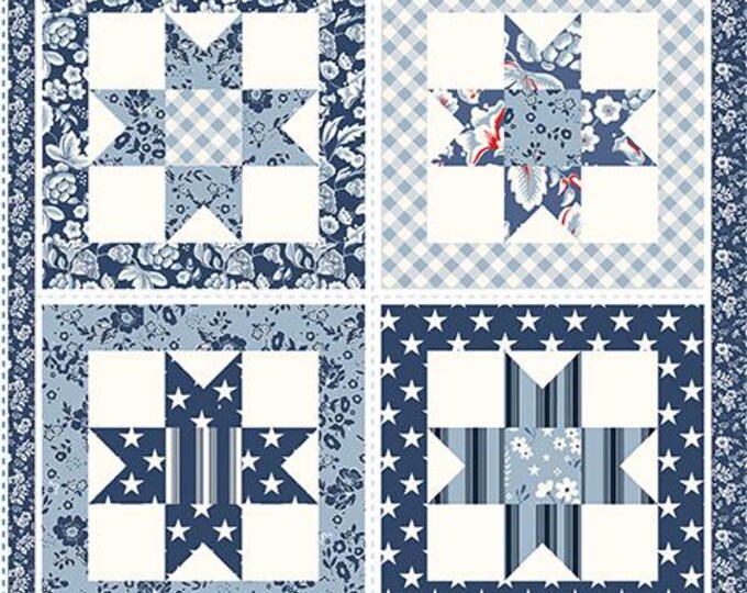 Freedom Garden Star Panel 24"x43" (P15627) by My Mind's Eye for Riley ...