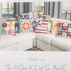 Pillow Kit of the Month- May- by Minky Kim for Riley Blake Designs- 20 ...