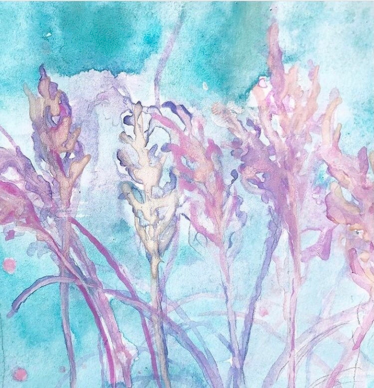 Pink Pampas Grass Watercolor Art Prints & Cards - Etsy