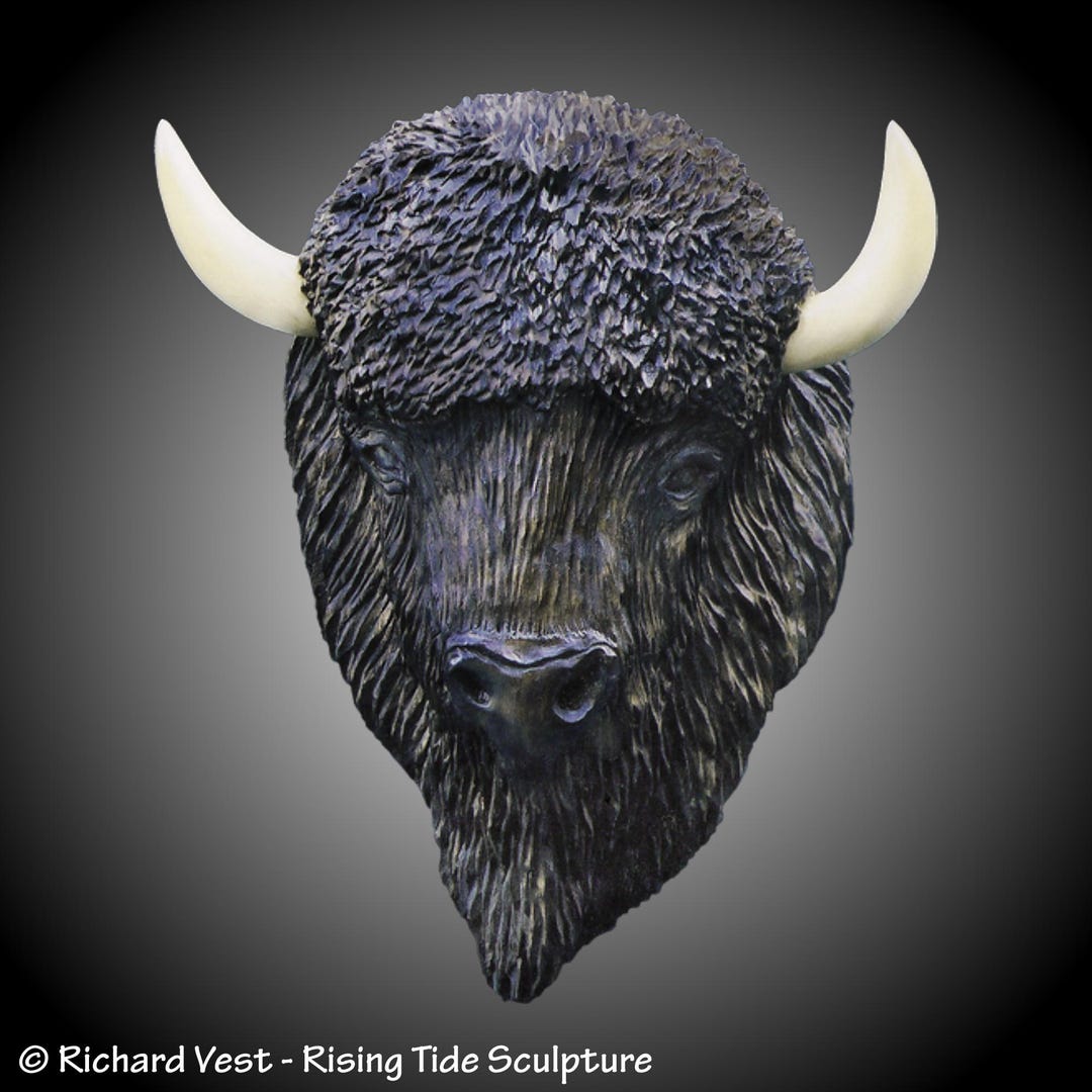 Hand Carved Buffalo Head Wall Sculpture: Alder & Maple, Tung Oil Finish ...