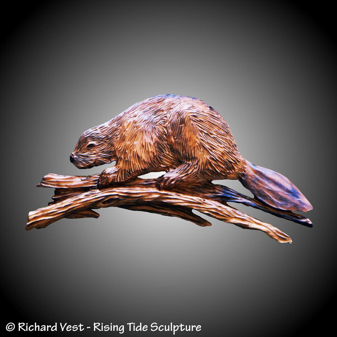 Hand Carved Alder Wood Beaver Wall Sculpture: Wildlife Decor - Etsy