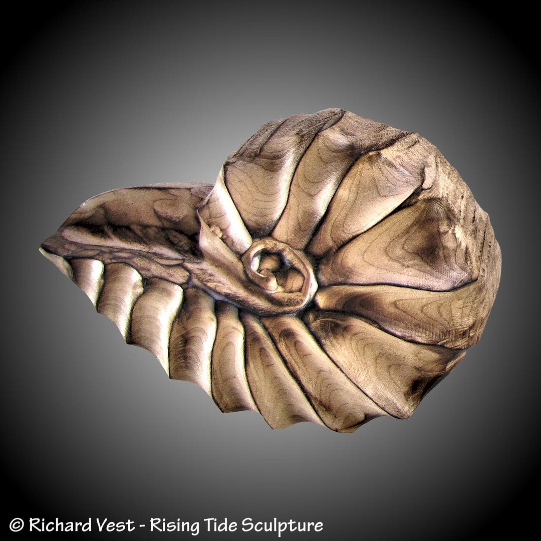 Nautilus Shell Wall Sculpture - Etsy